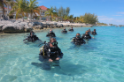Types of Scuba Diving for Beginners: Getting Started Underwater