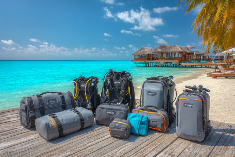 Understanding the Types of Scuba Diving Certifications and What They Unlock