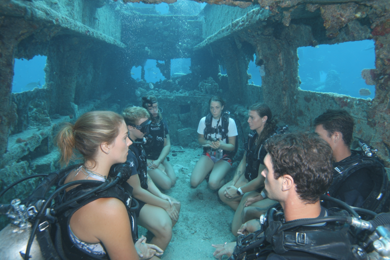Exploring Scuba Diving Certification Levels: From Beginner to Advanced